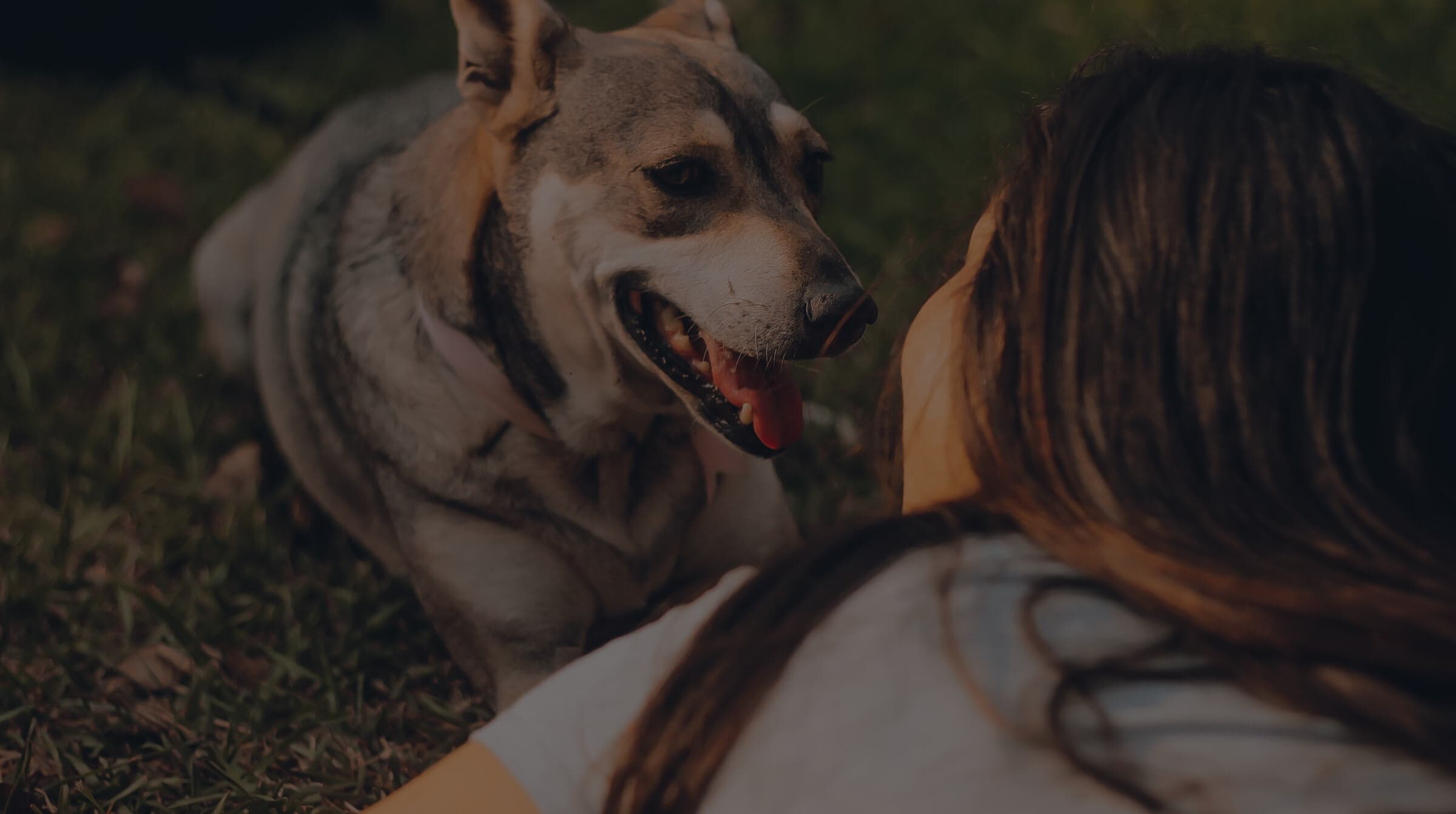 Gudog - Find loving Sitters to care for your dog like family